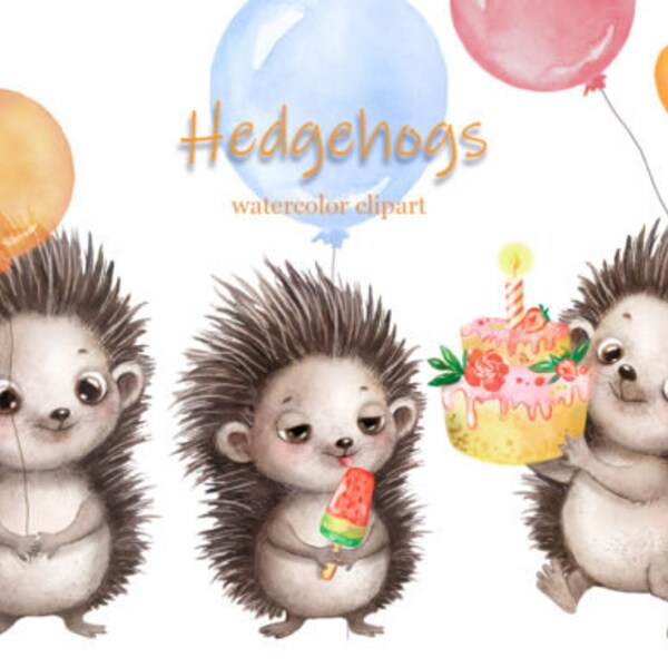 Funny Hedgehogs Watercolor Clipart - Etsy