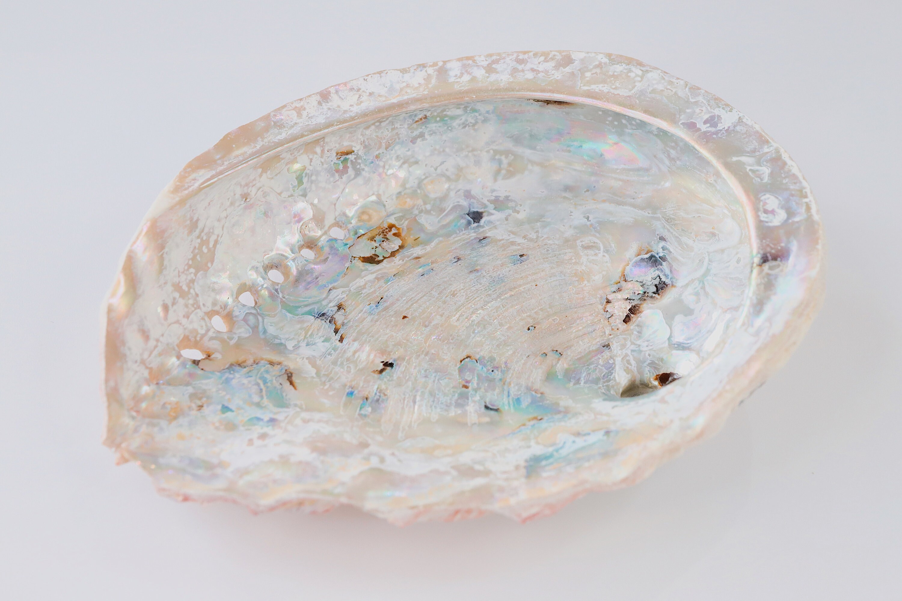 Natural Abalone Shell to Use for Smudging as a Crystal Bowl - Etsy