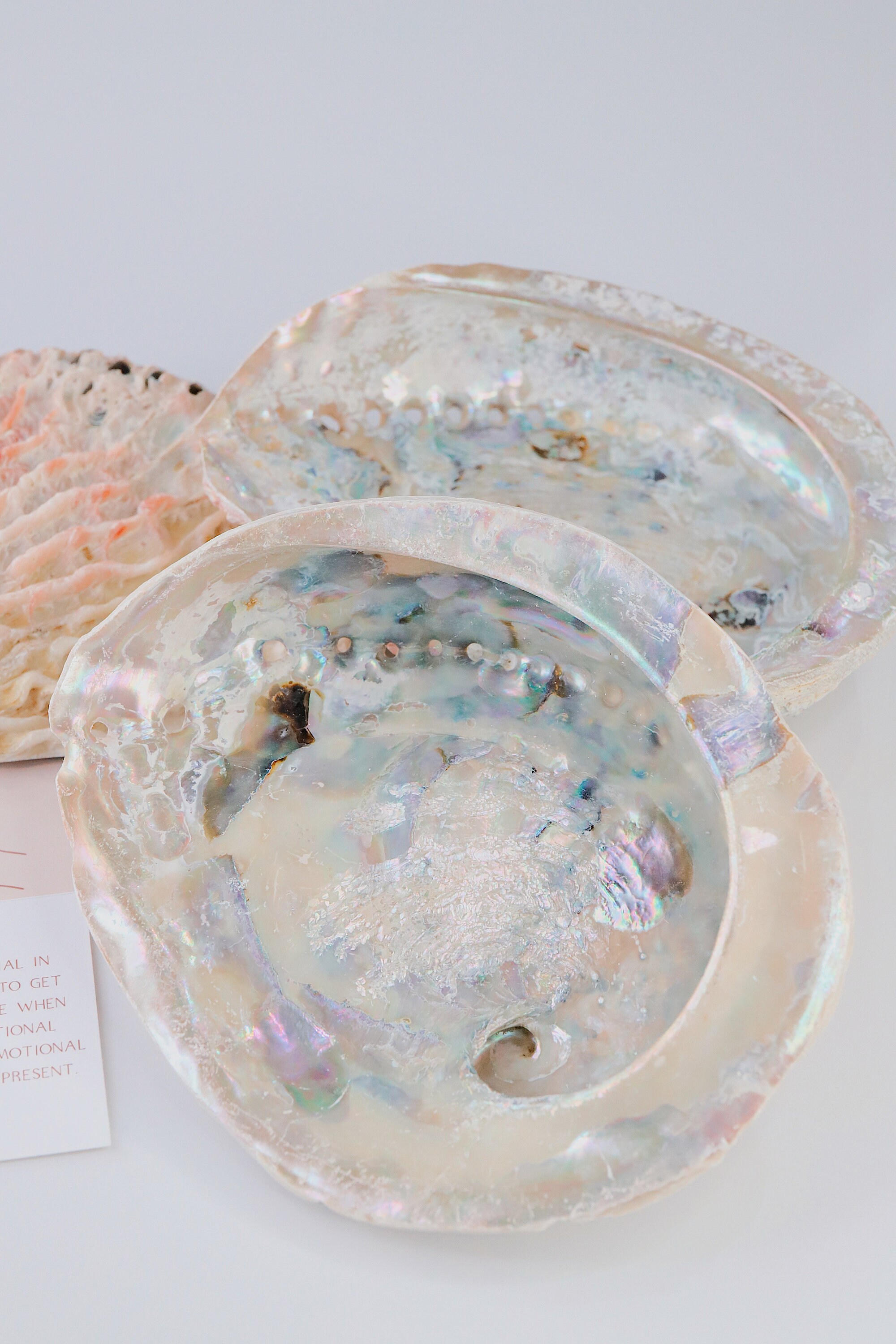 Natural Abalone Shell to Use for Smudging as a Crystal Bowl - Etsy
