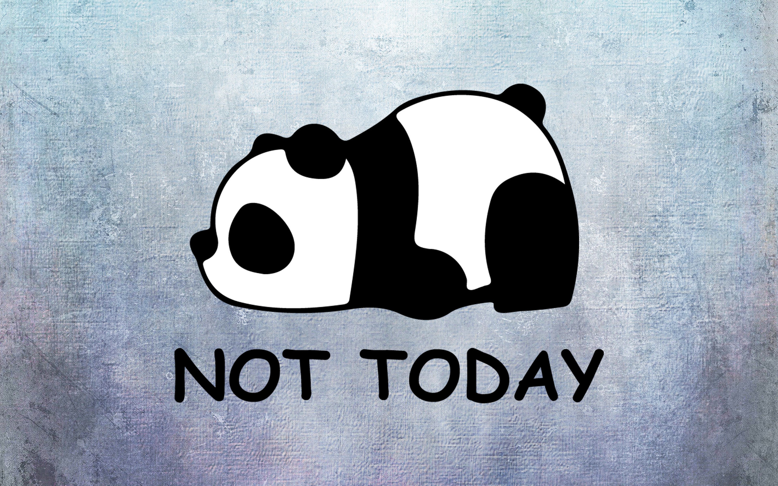 Lazy Panda Wallpaper