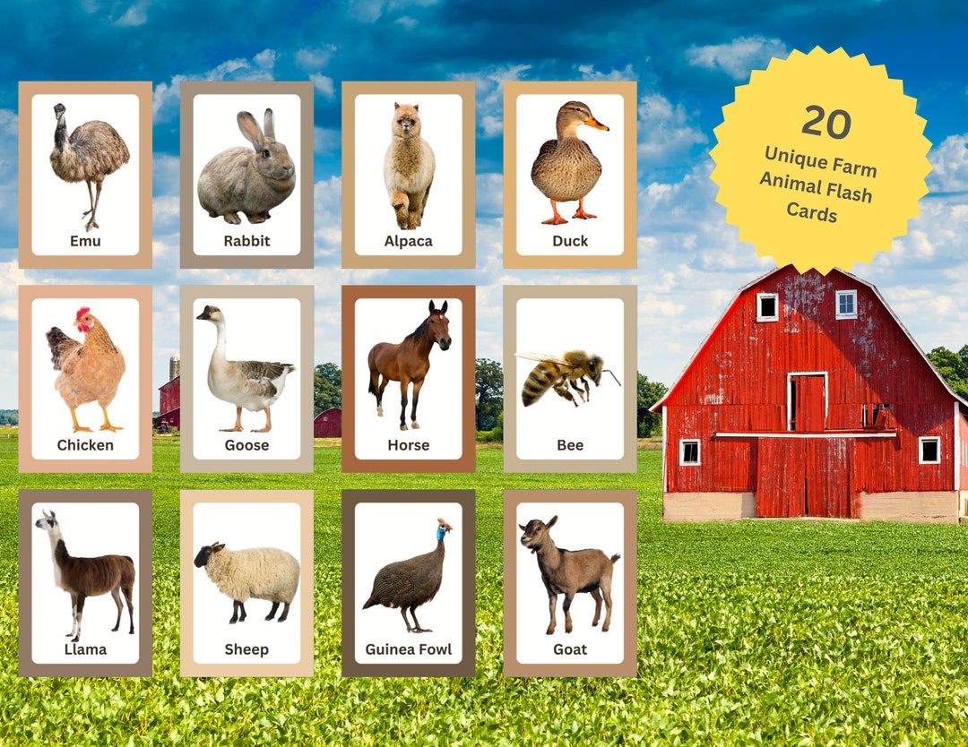 Unique Montessori Farm Animal Flash Cards | Cottagecore Education and ...