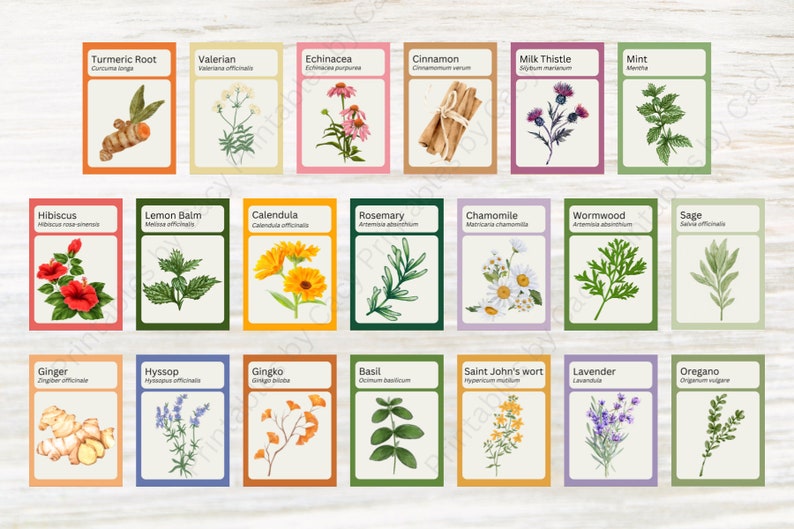 Herb Flashcards Printable Set of 20 [PDF] - Perfect for Future ...