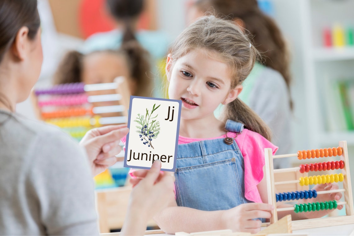 Nature Alphabet Flash Cards Printable [PDF] - Early Learning Montessori ...