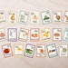 Nature Alphabet Flash Cards Printable [PDF] - Early Learning Montessori ...