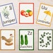 Nature Alphabet Flash Cards Printable [PDF] - Early Learning Montessori ...
