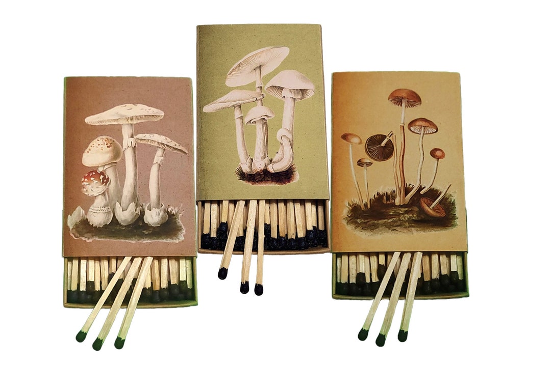Handmade "natural 'shrooms!" Set of Three Matchboxes | USA | 3-inch ...