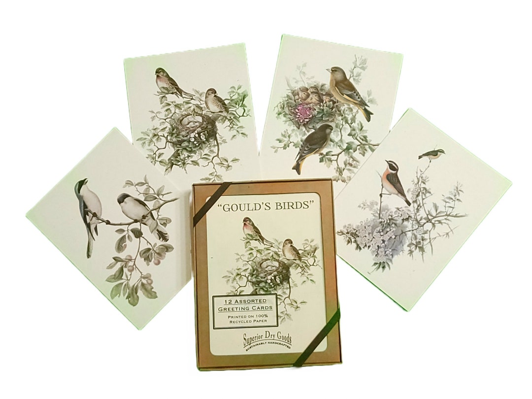 100% Recycled gould's Birds Note Cards, Set of 12 Handmade Blank ...