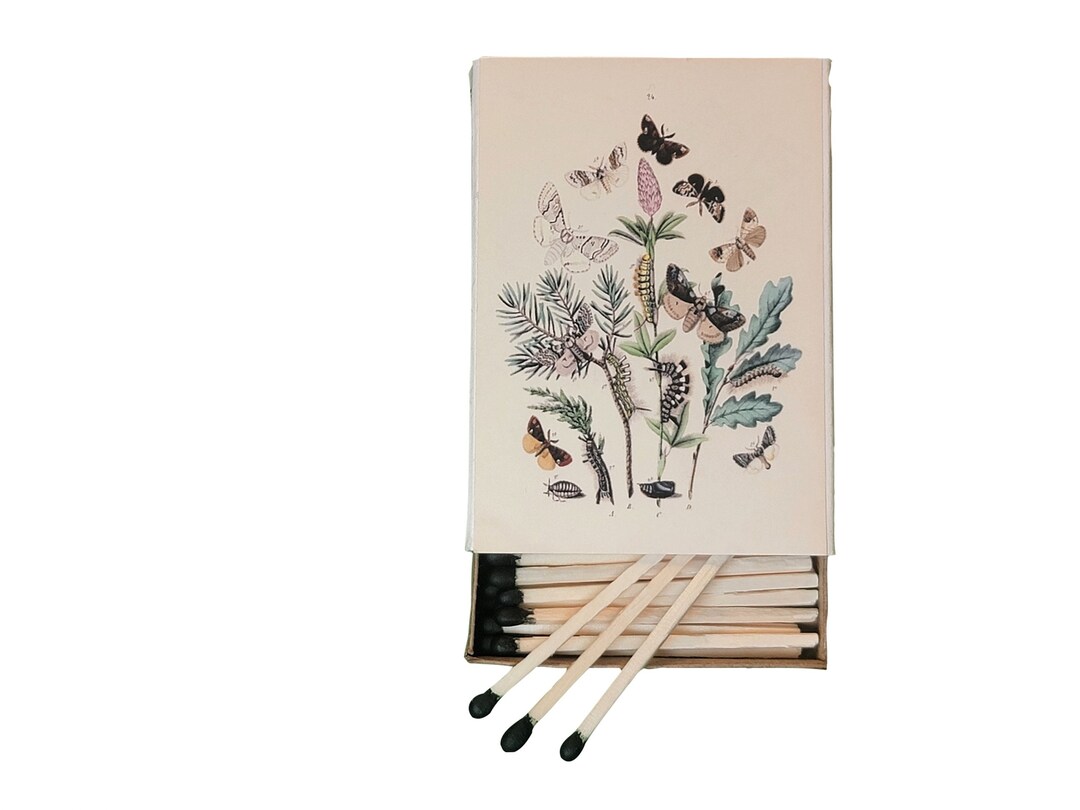 Handmade in USA, “botanical Butterflies” Large Matchbox. 3-inch Black ...