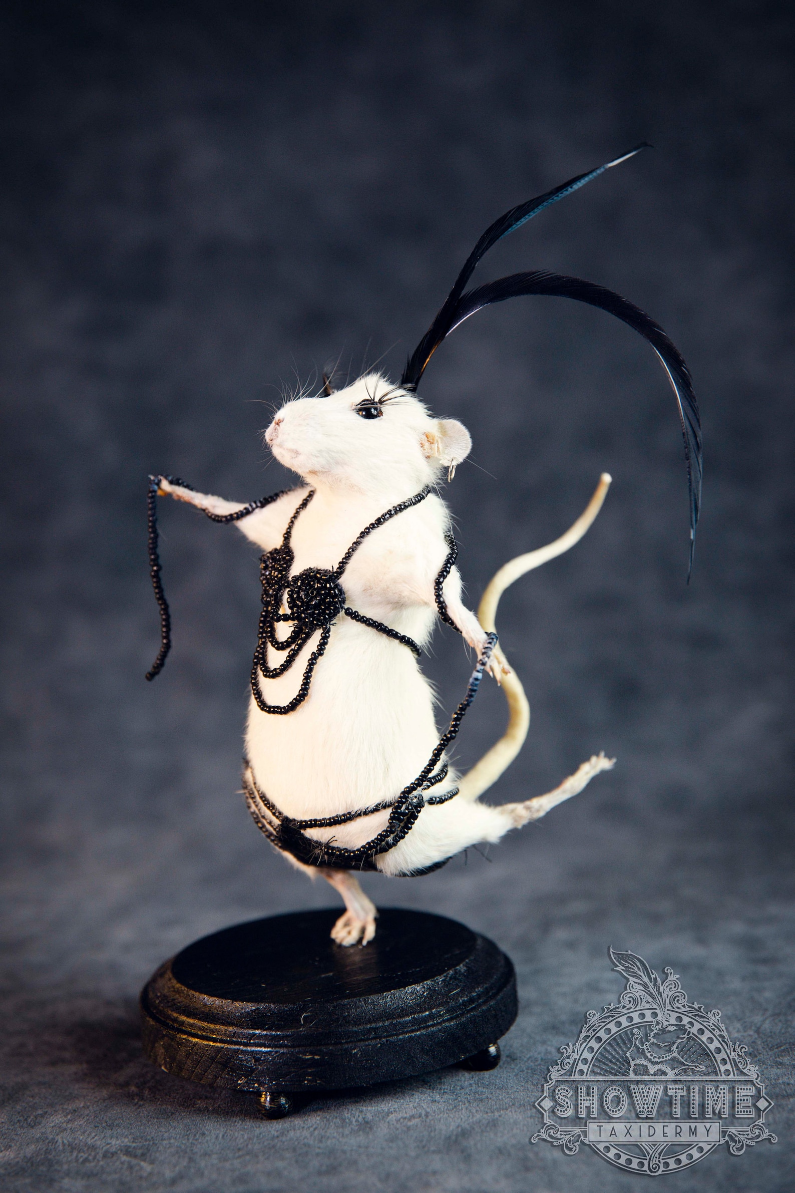 Fabulous Francine the Taxidermy Rat | Etsy