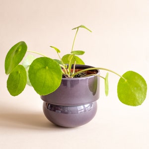 Violet, Plant Stand, Cute Planter, Pottery Planter, Moder Plant Stand ...