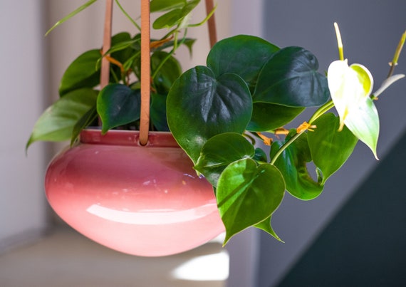 Hanging Flower Pot Pink Ceramic Hanging Planter Leather | Etsy