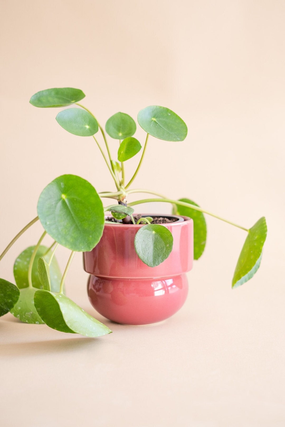 Dark Pink Planter, Vintage Planter, Birthday Gift for Crazy Plant Lady ...