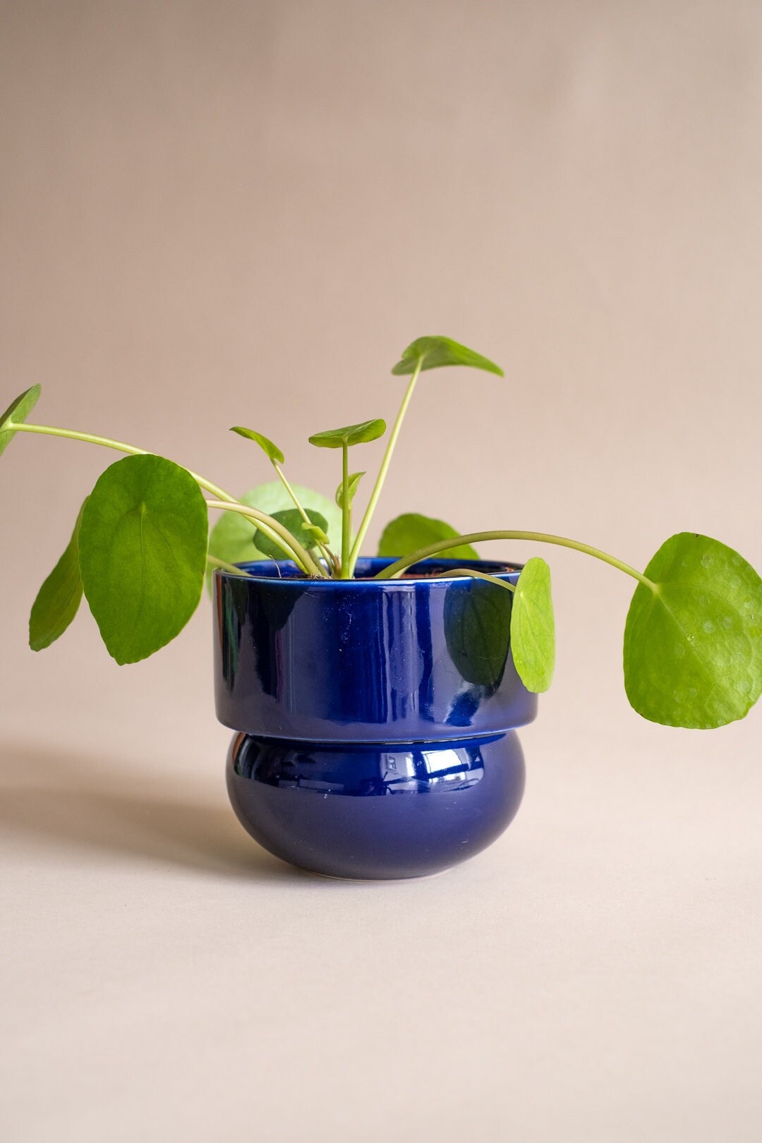 Blue Planter, Birthday Gift for Crazy Plant Lady, Cobalt Planter ...