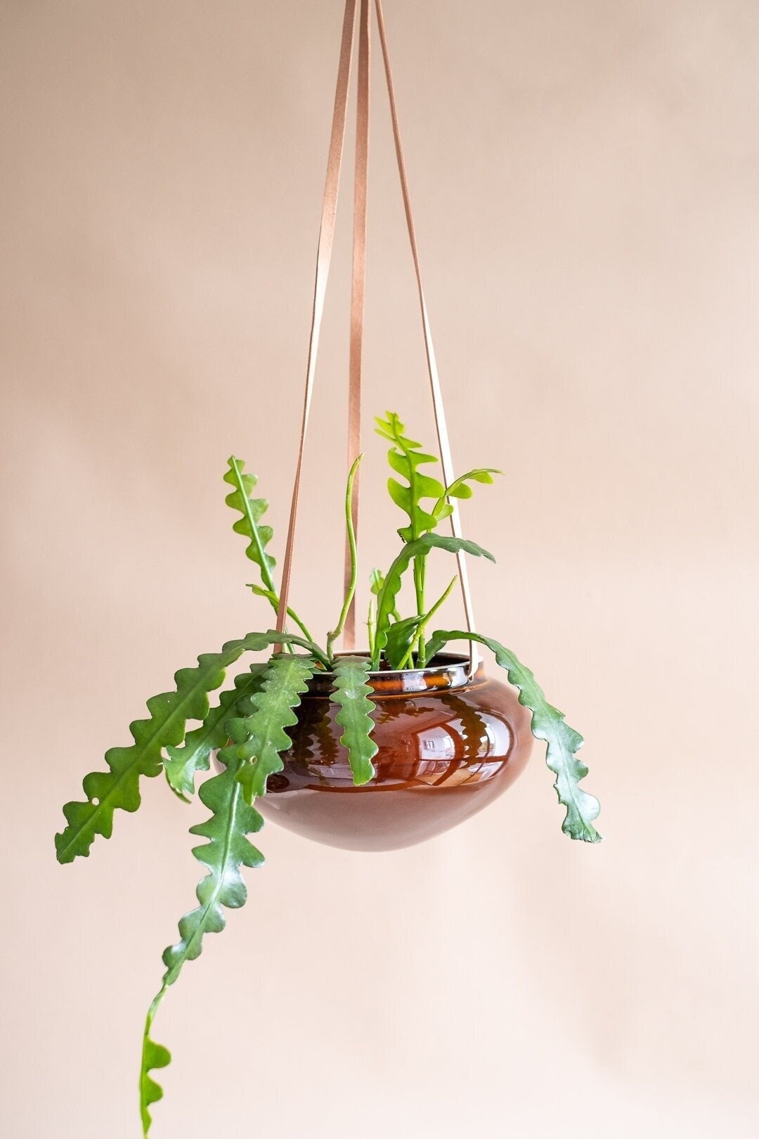 Hanging Flower Pot, Ceramic Hanging Planter, Leather Straps, Honey ...