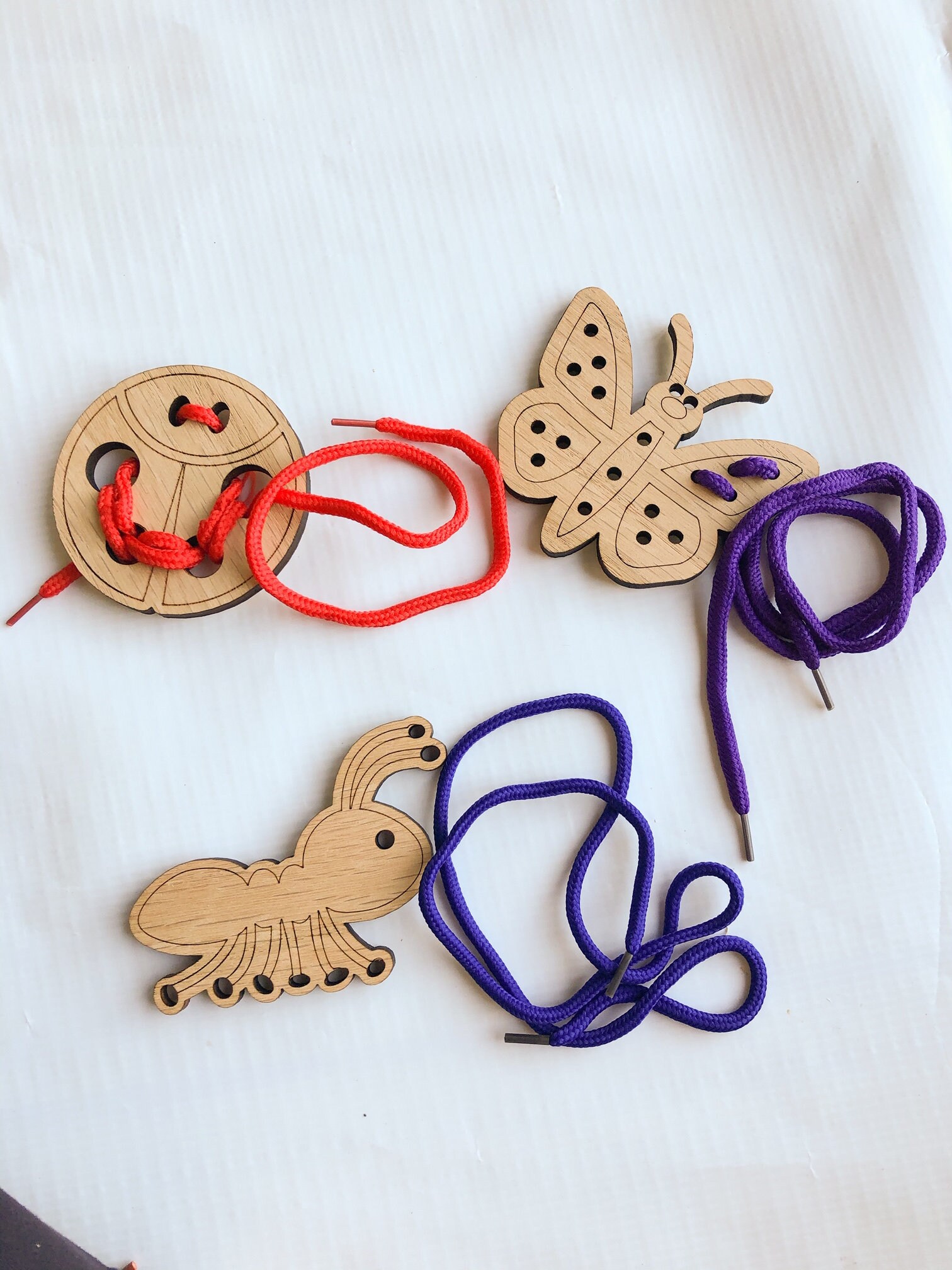 Bugs Lace up SVG Cut File for Laser Vector With an Ant Lady - Etsy