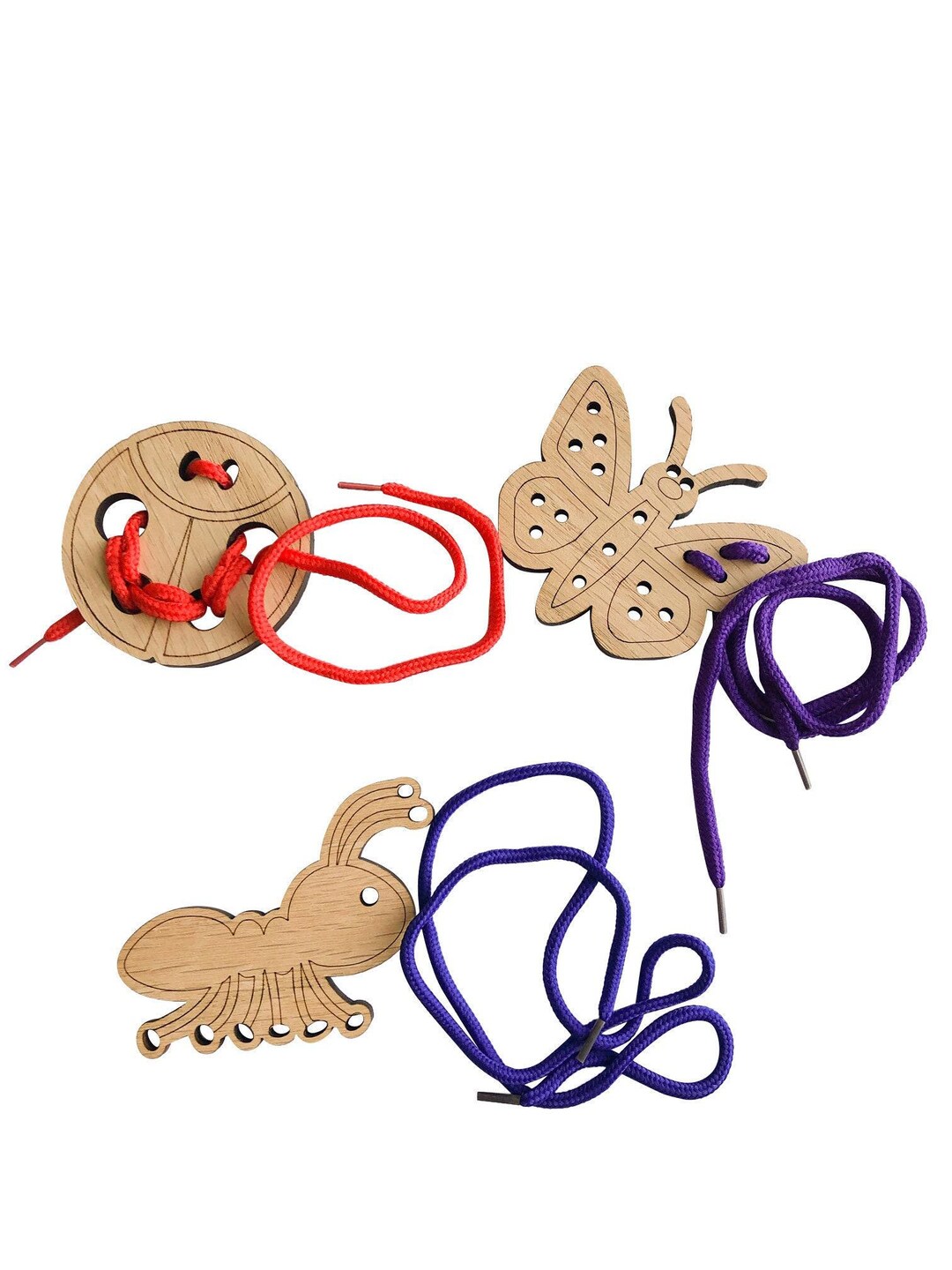 Bugs Lace up SVG Cut File for Laser Vector With an Ant, Lady Bug, and ...