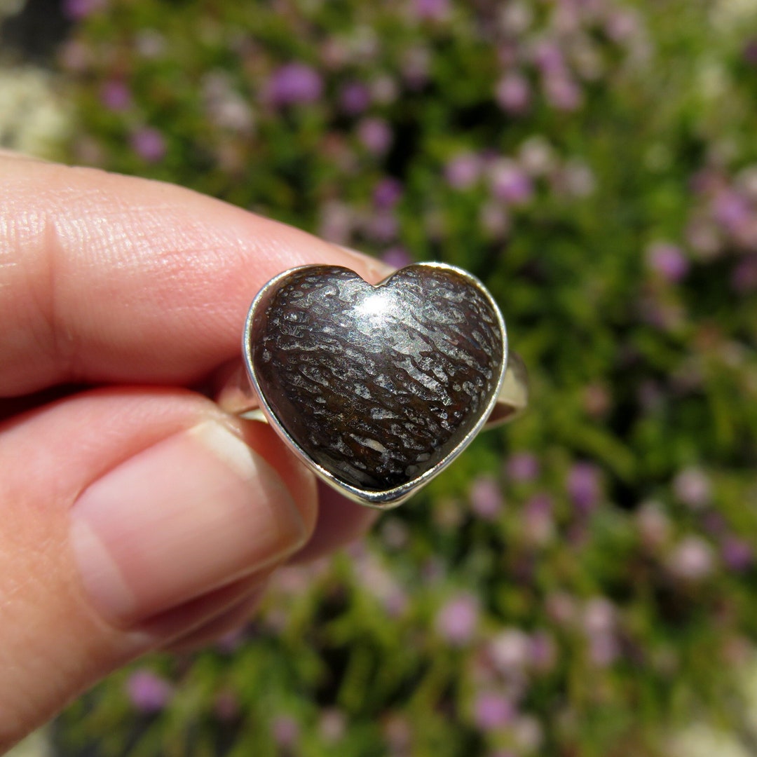 Dinosaur Bone Ring Size 9.5, Sterling Silver Ring, Gembone Jewelry, Gemstone Heart Ring for ...