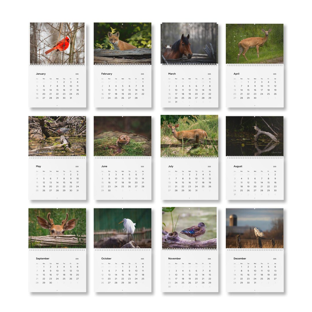 Nature Wall Calendar 2025 Wildlife Photography Calendar, Animal Lovers ...