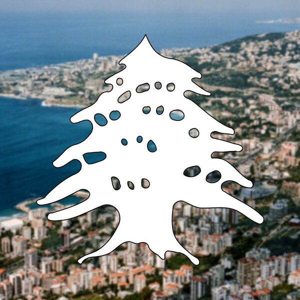 Cedar of Lebanon - Etsy