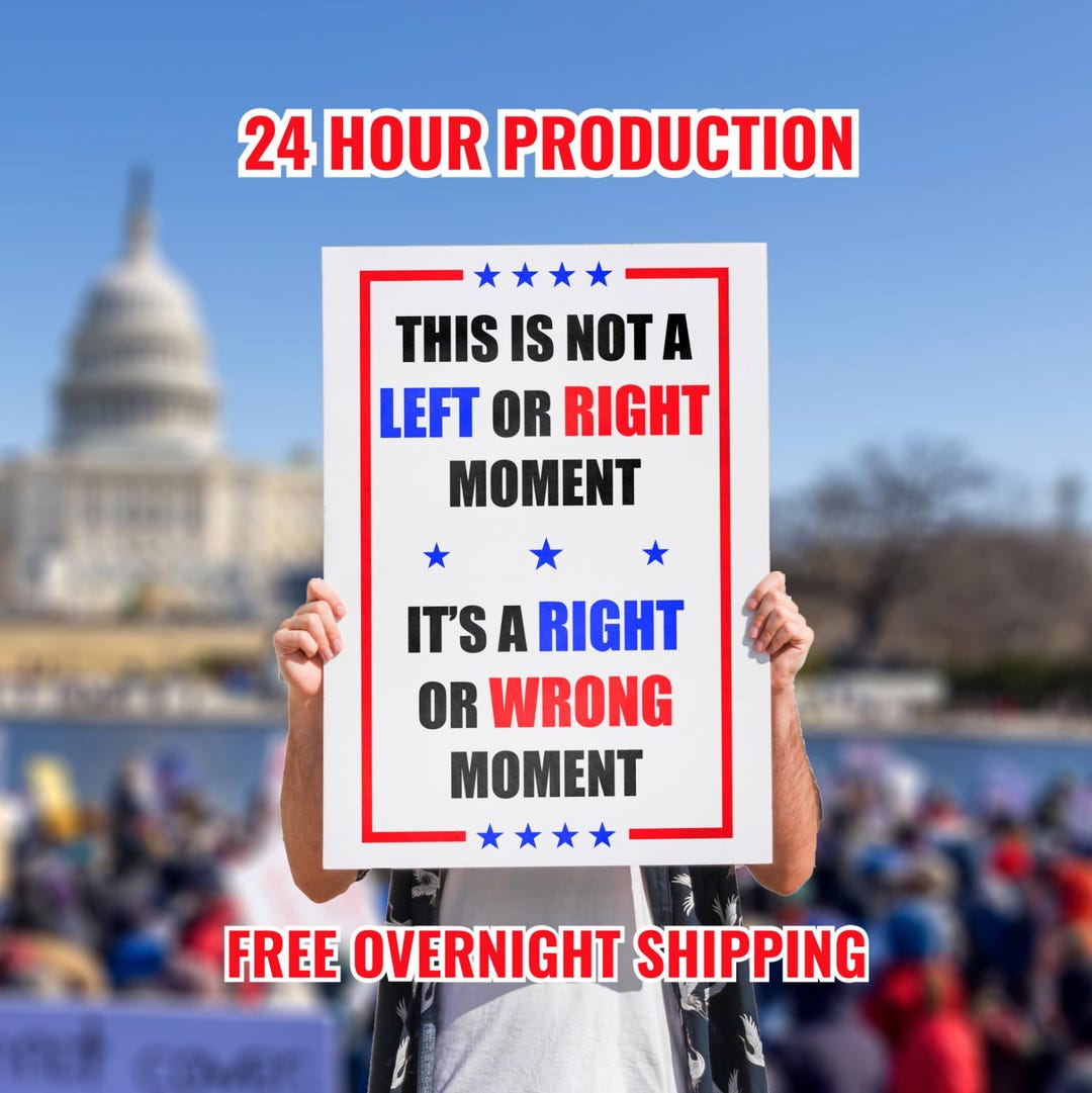 Protect Democracy Poster, No Kings in America Protest Sign, Anti Trump ...