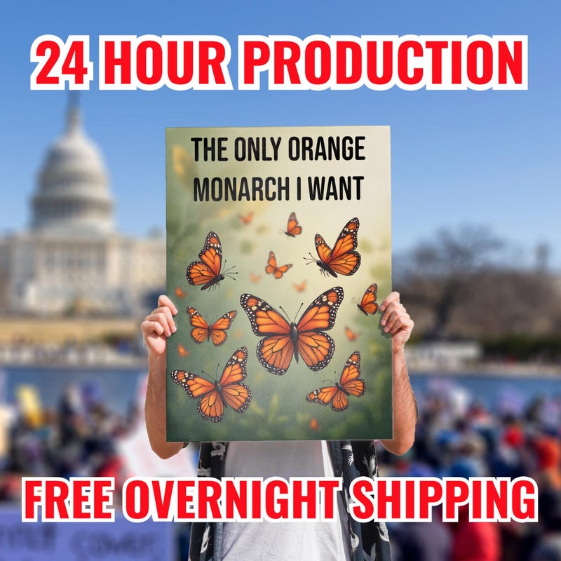 Protest Sign Butterfly - Etsy