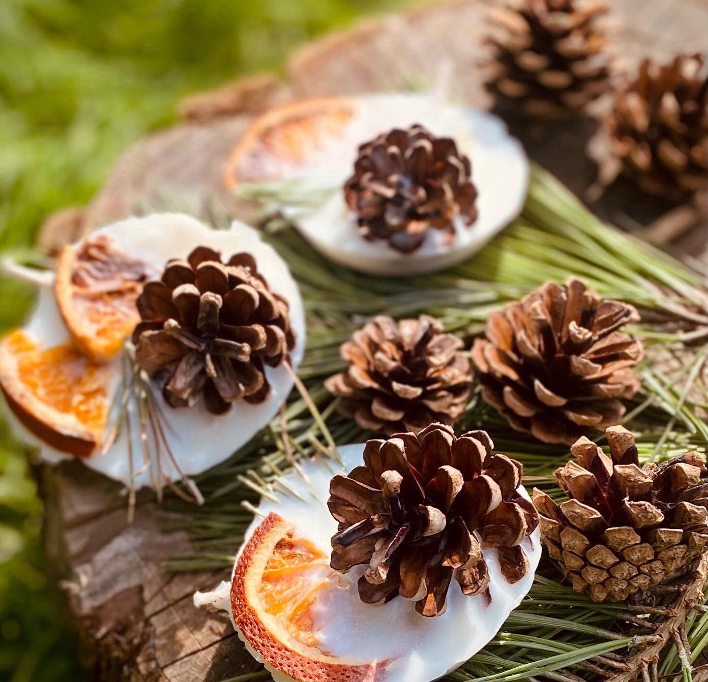 Bushcraft Gift Set Camping Candle With Pinecone Fire Starters - Etsy