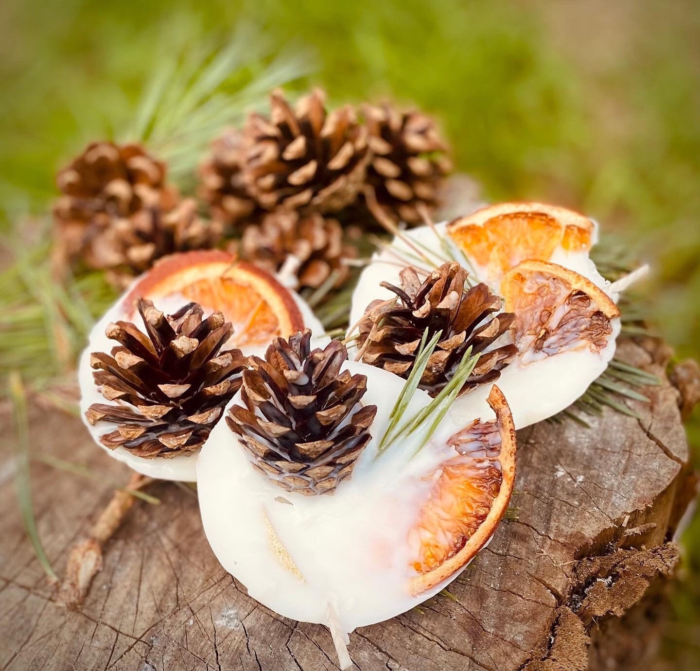 Bushcraft Gift Set Camping Candle With Pinecone Fire Starters - Etsy