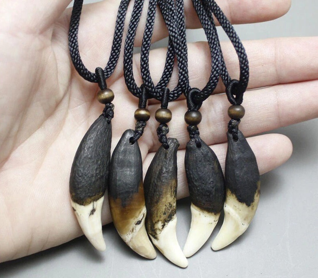 4pcs Real Wolf Tooth Necklace Jewelry Natural Tibetan Wolf Fang Pendant ...