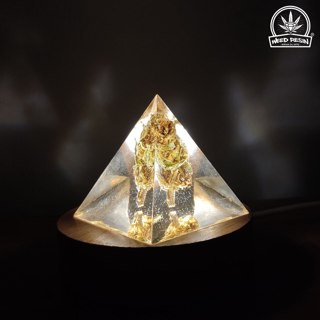 Lamp Pyramid With Bud / CBD Flowers - Etsy