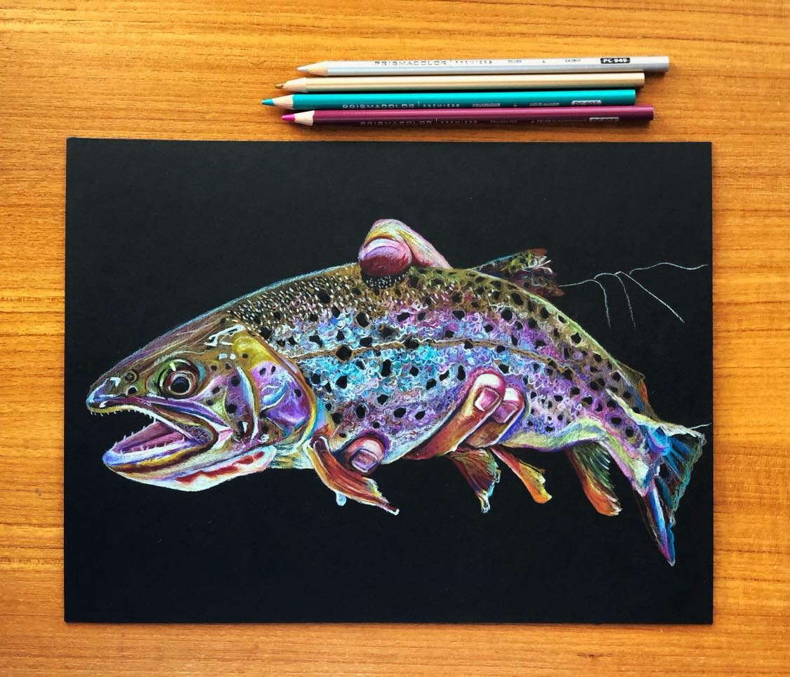 Cutthroat Trout Drawing Print | Etsy