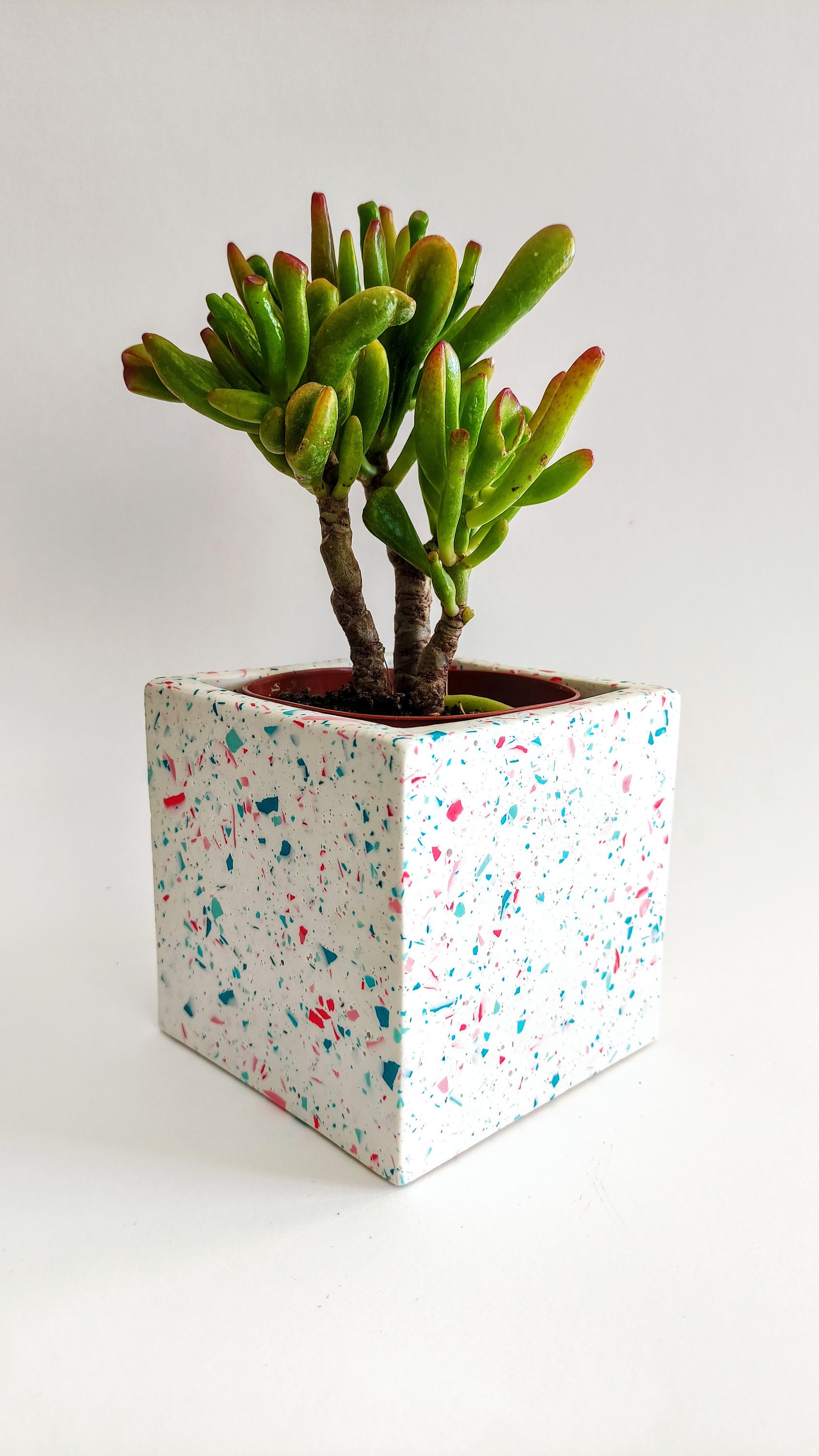 Square Plant Pot Terrazzo Plant Pot Terrazzo Planter Indoor - Etsy