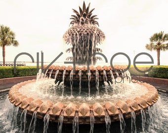 Fountain of Views - Pineapple Fountain - Sunrise - Charleston, South ...