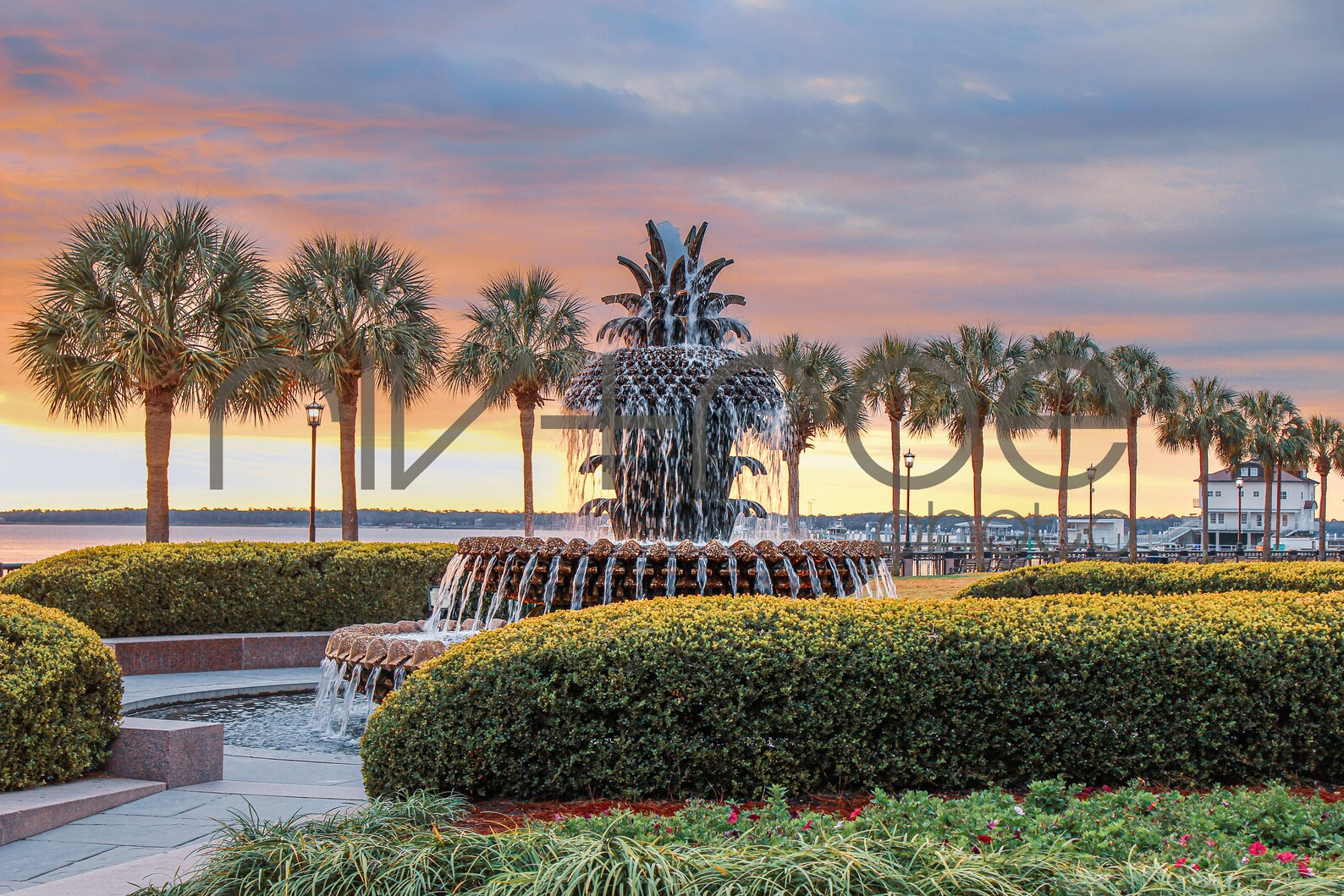 Fountain of Views - Pineapple Fountain - Sunrise - Charleston, South ...