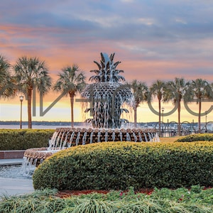 Fountain of Views - Pineapple Fountain - Sunrise - Charleston, South ...