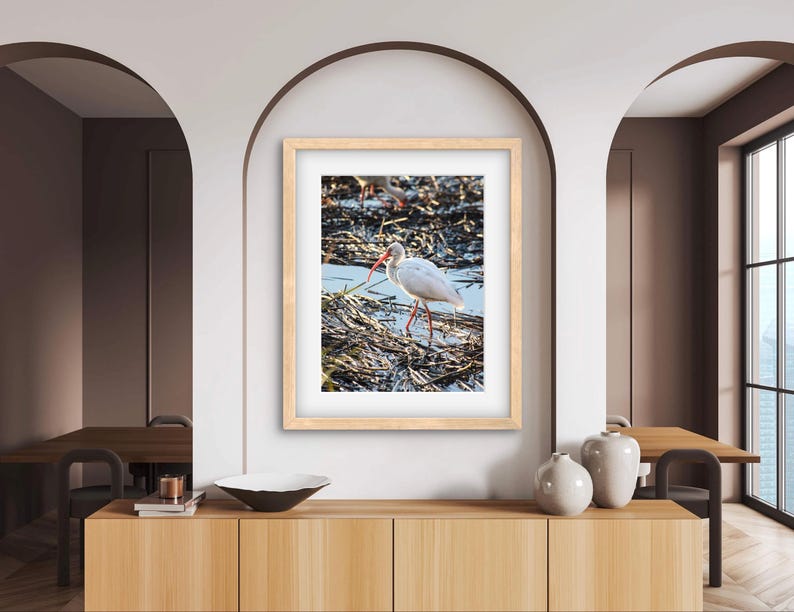 Charleston, South Carolina - Digital Print - Copahee Sound - Ibis ...