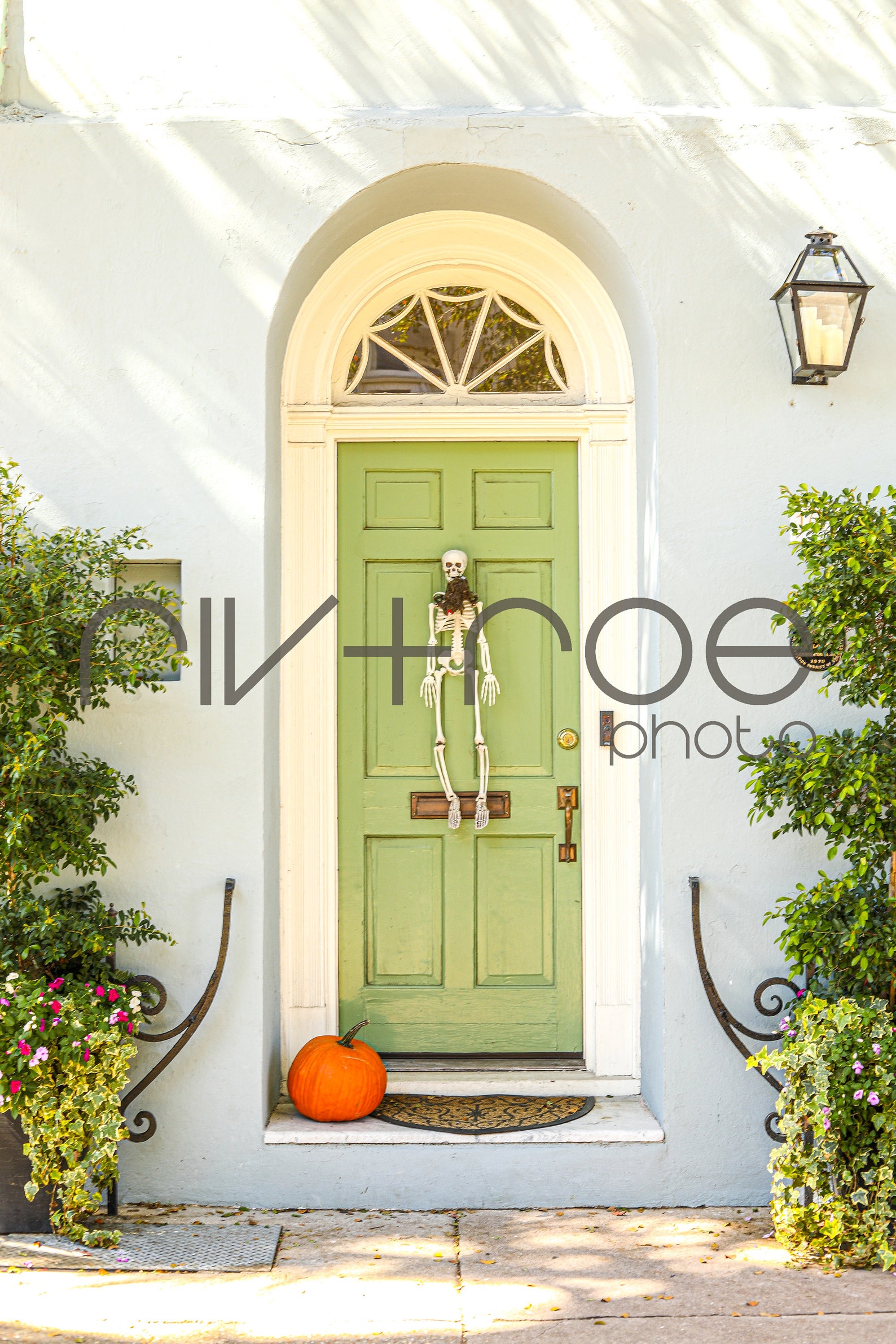 Rainbow Row - Halloween - Fall - Charleston, South Carolina - Instant ...