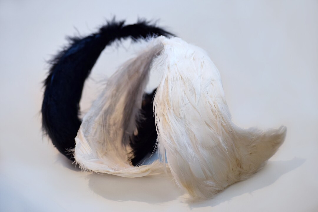 Set of Two Swan Lake Feather Headpieces - One White and One Black ...