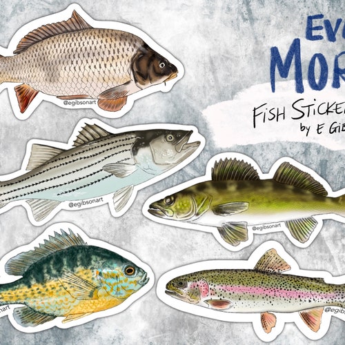 Fish Stickers - Etsy