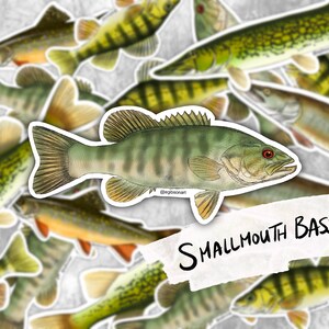 Fish Stickers - Etsy