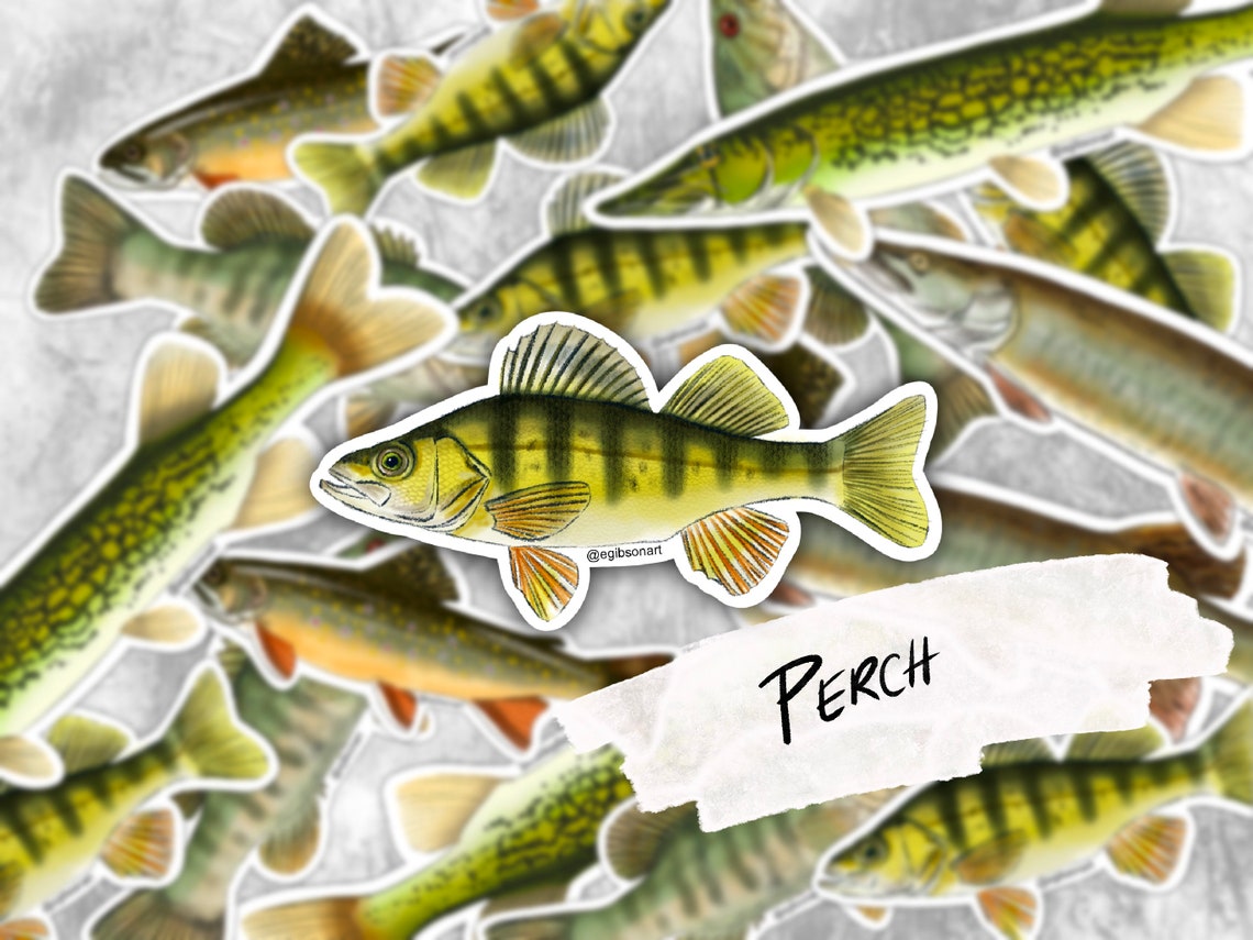 Fish Stickers | Etsy