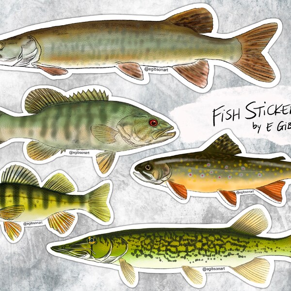 Freshwater Fish Decals - Etsy