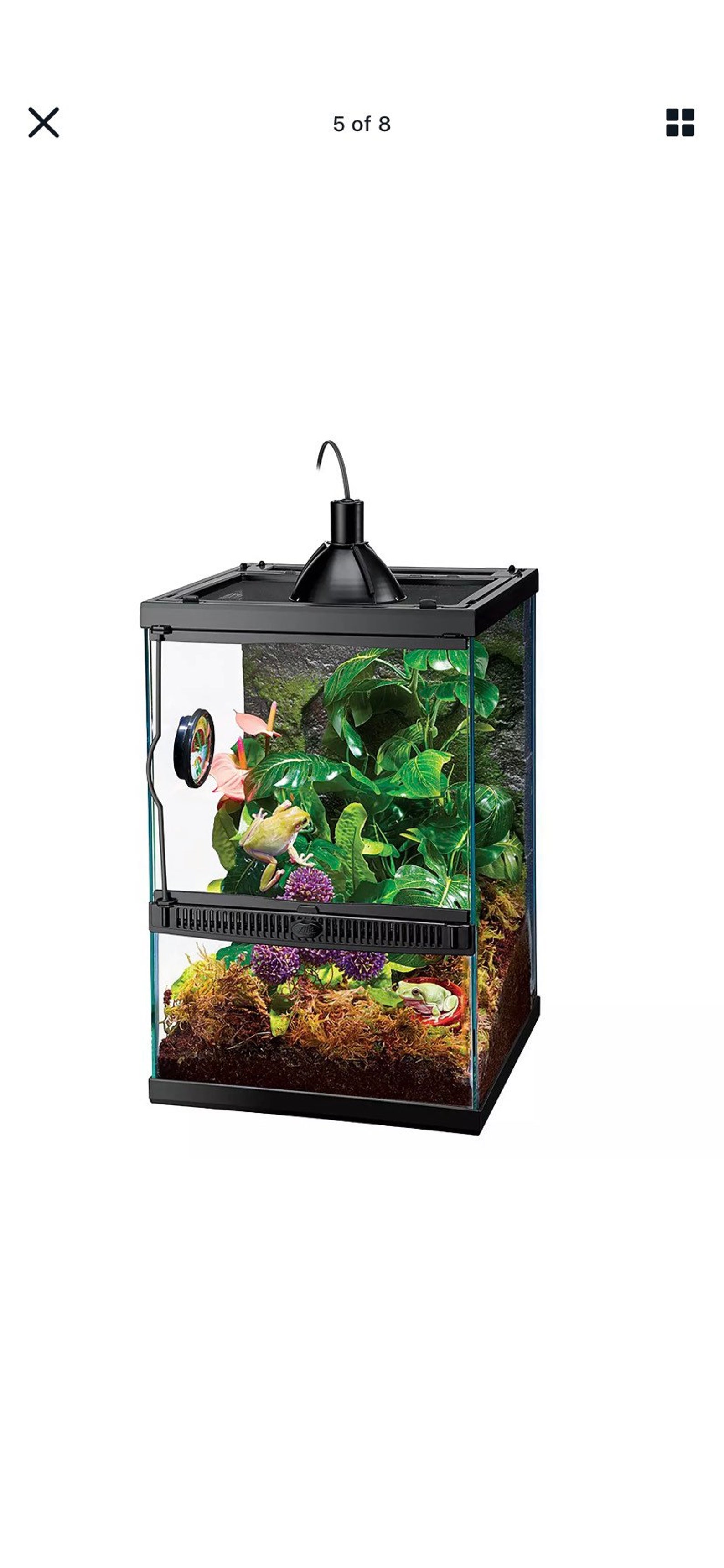 Reptile Vertical Starter Kit with Mini Halogen Lighting | Etsy