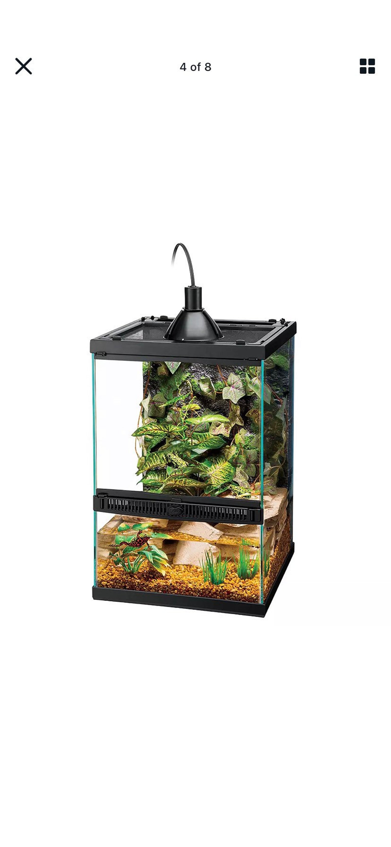 Reptile Vertical Starter Kit With Mini Halogen Lighting - Etsy