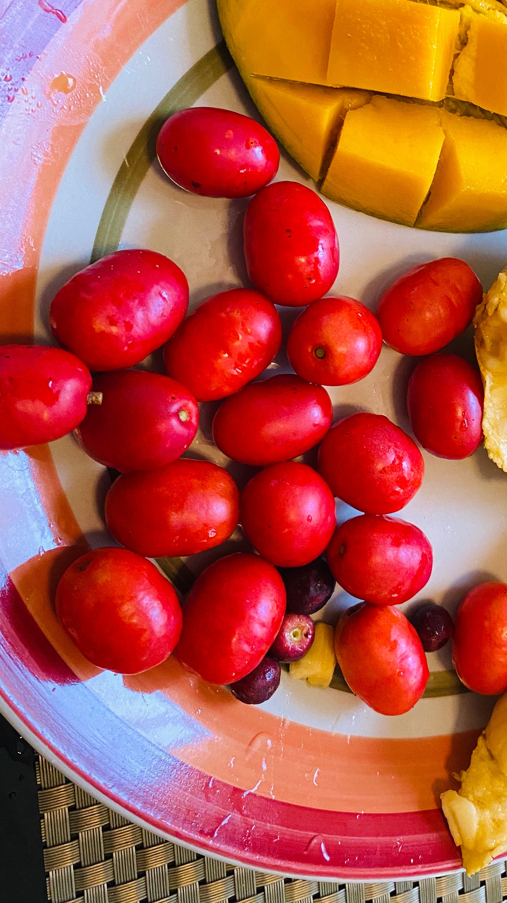 Jamaican Red Plum / Hog Plum Cuttings and Live Plants - Etsy