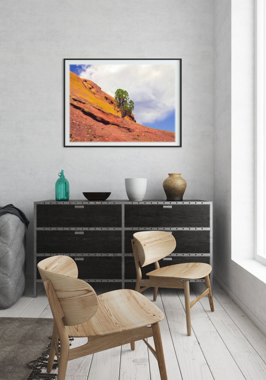 Red Rocks Photo Print, Colorado Photo Print, Tree Photo Print, Red ...
