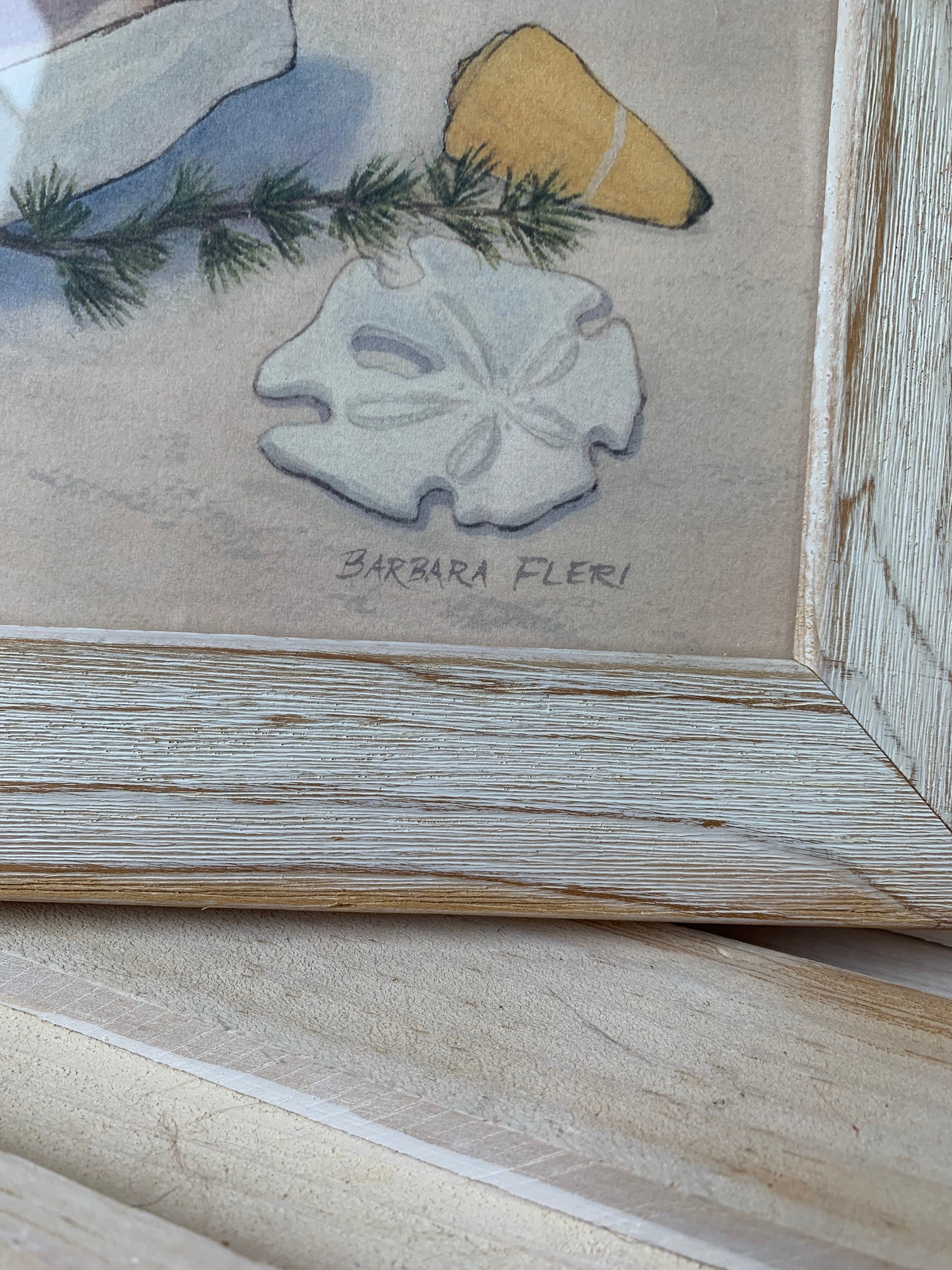 Beach Shells Watercolor Signed Framed Print By Barbara Fleri | Etsy