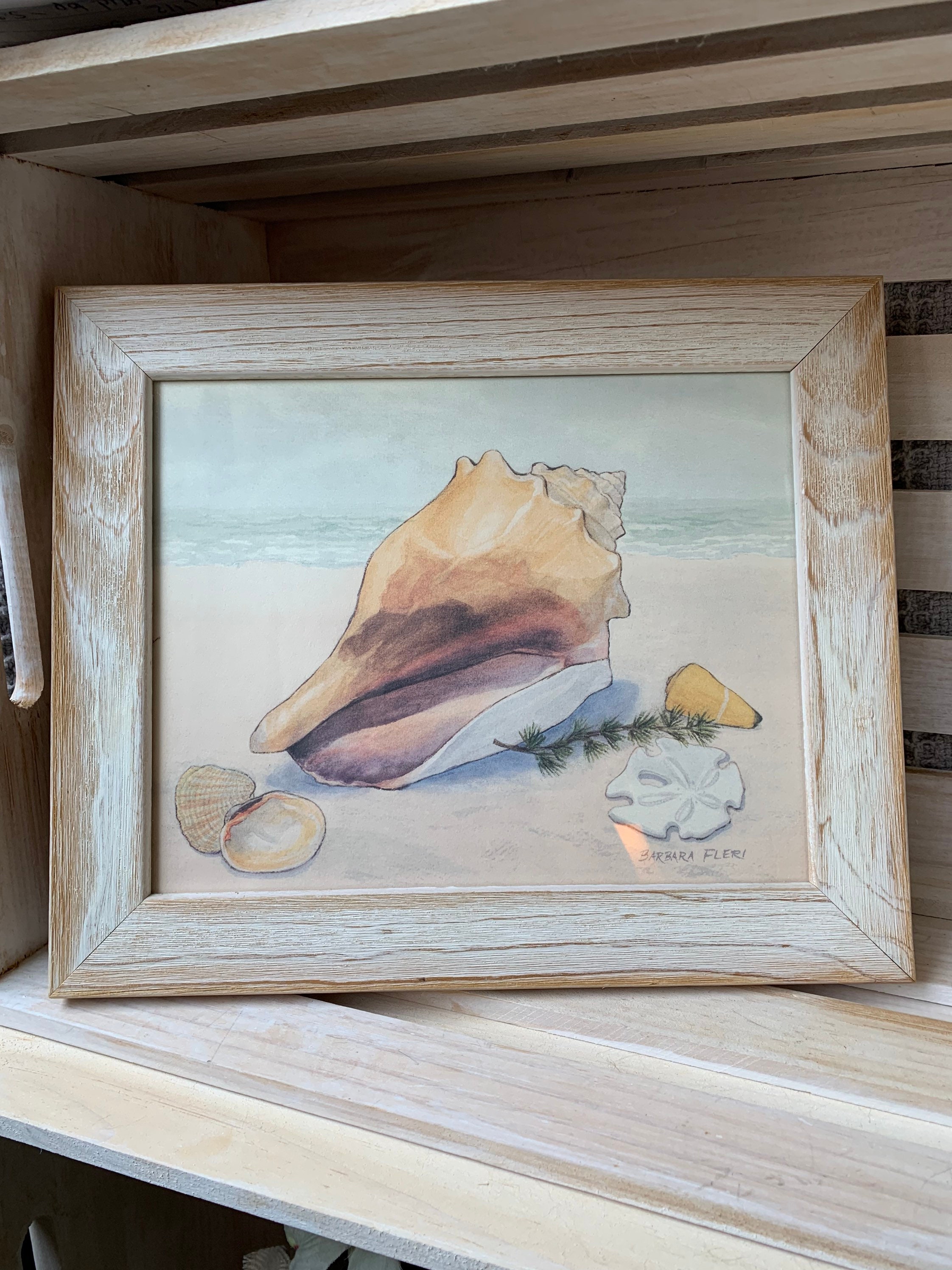 Beach Shells Watercolor Signed Framed Print By Barbara Fleri | Etsy