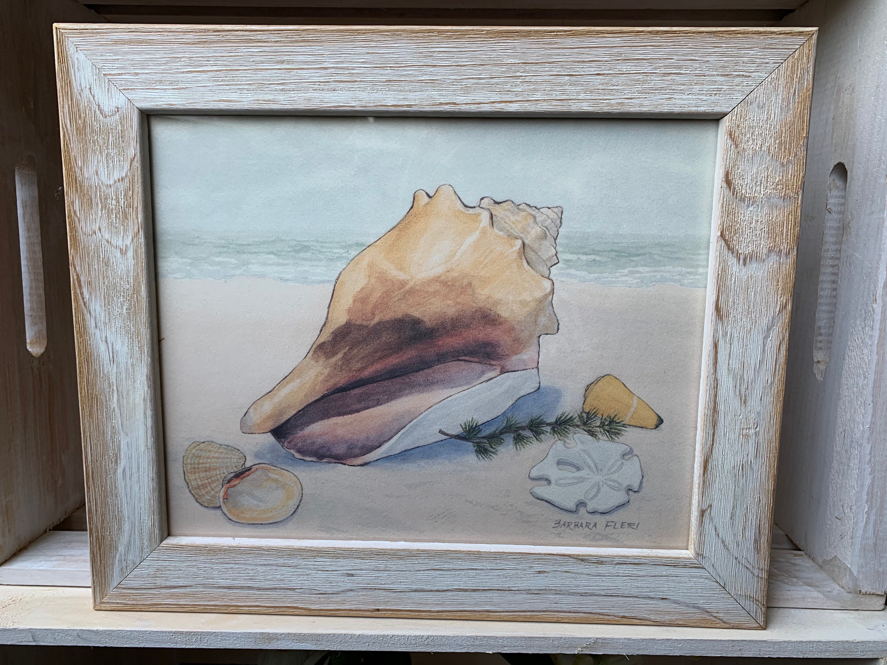 Beach Shells Watercolor Signed Framed Print By Barbara Fleri | Etsy