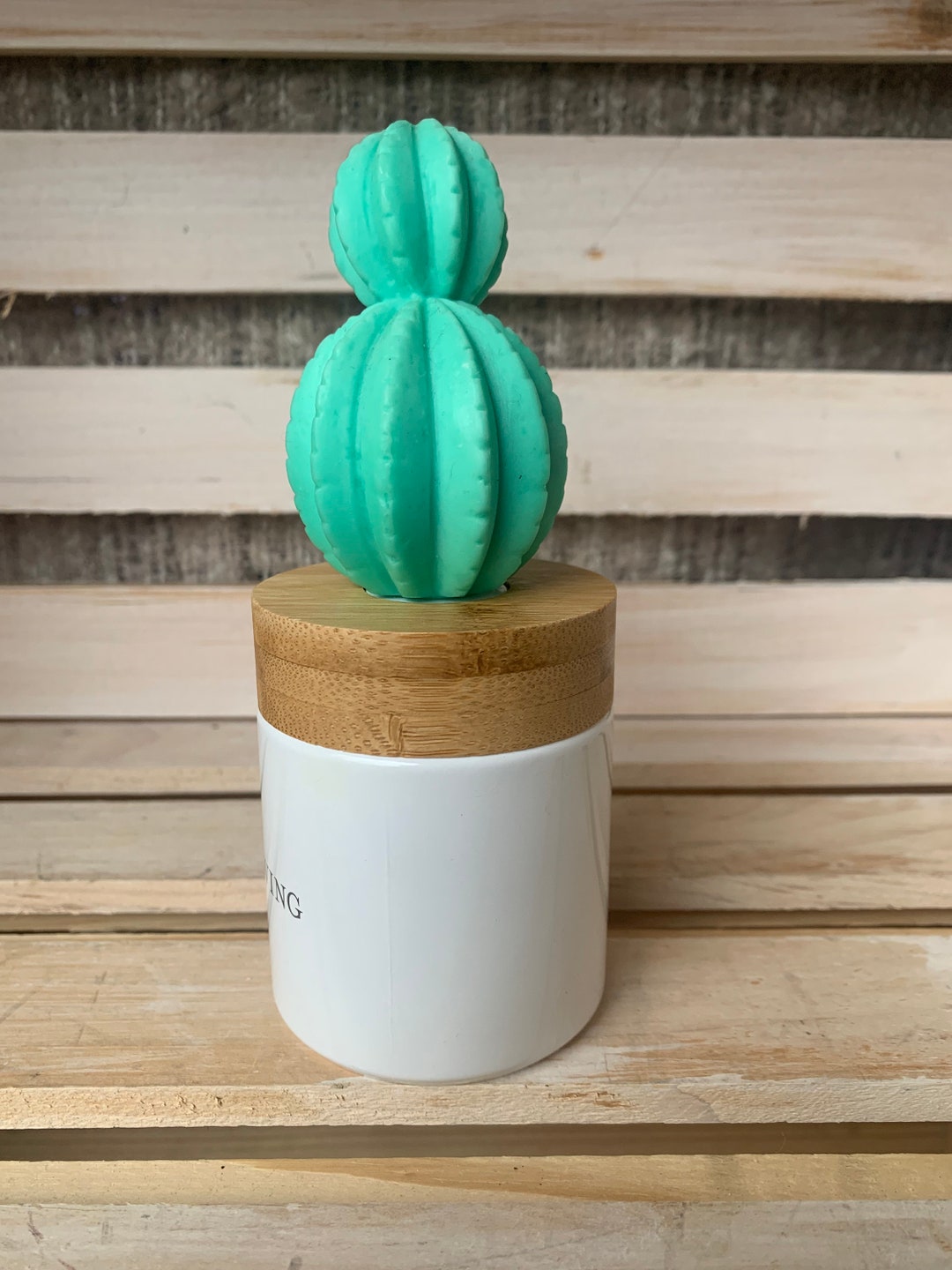 Young Living Cactus Essential Oils Diffuser Aromatherapy Southwest ...