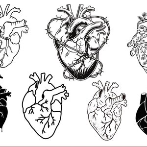 Heart Svg, Anatomical Heart, Medical Svg, Flower Heart Svg, Wildflower ...